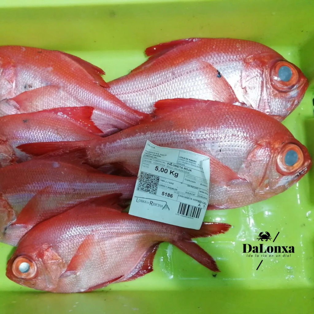 VIRREY O PALOMETA ROJA - DaLonxa